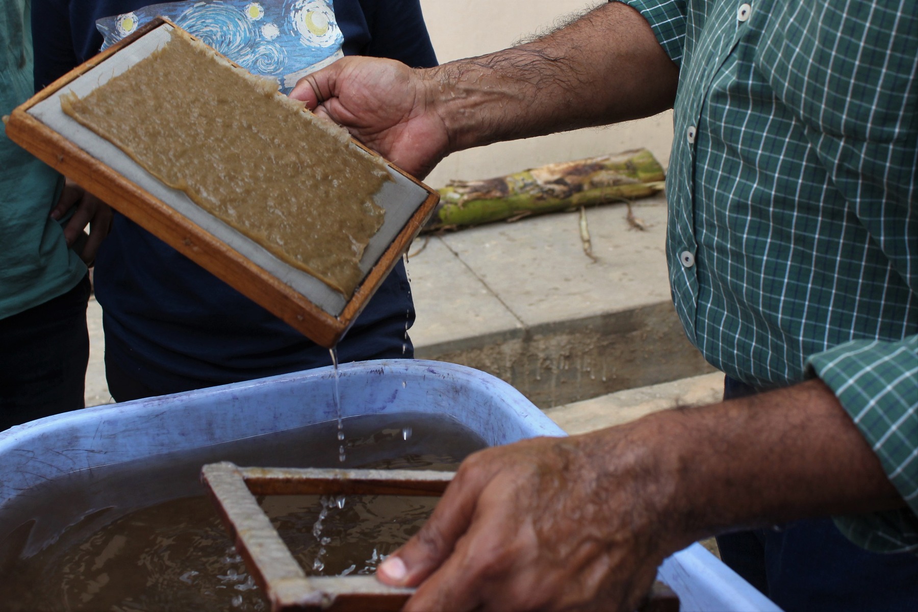 Pulp: Material Matters